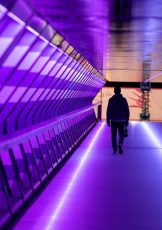 Crossrail Programme Recovery - Crossrail Learning Legacy